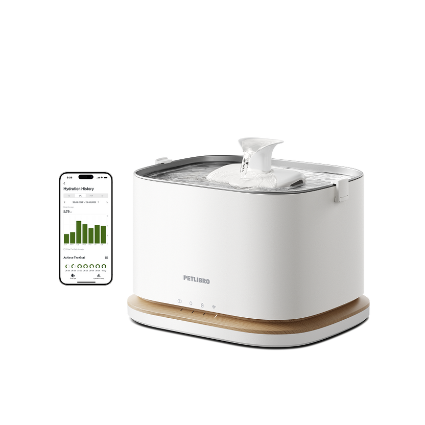 Katzenbrunnen & Trinkbrunnen für Katze und Hund - Petlibro DE