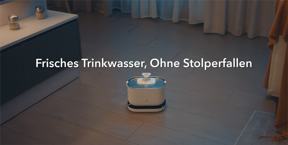 Dockstream Kabelloser Katzenbrunnen mit Sensor - Petlibro DE